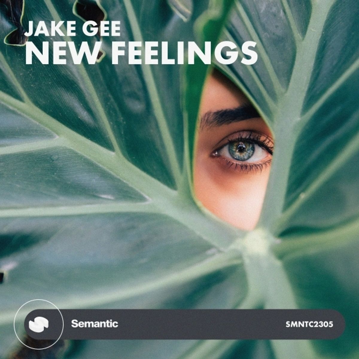 Jake Gee | Twitter, TikTok | Linktree